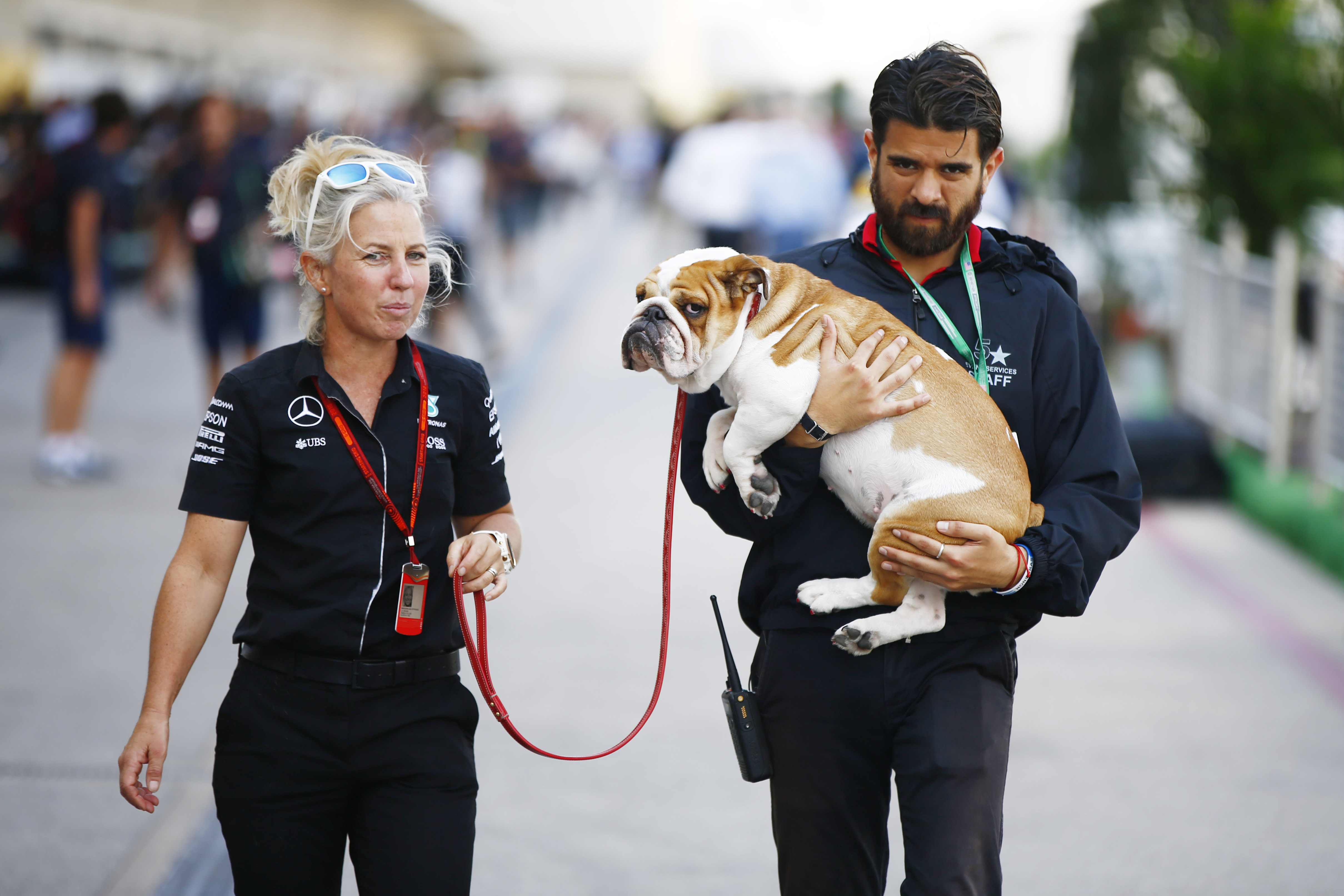 2016 Photo galleries - F1 Faces Part one | Federation Internationale de ...