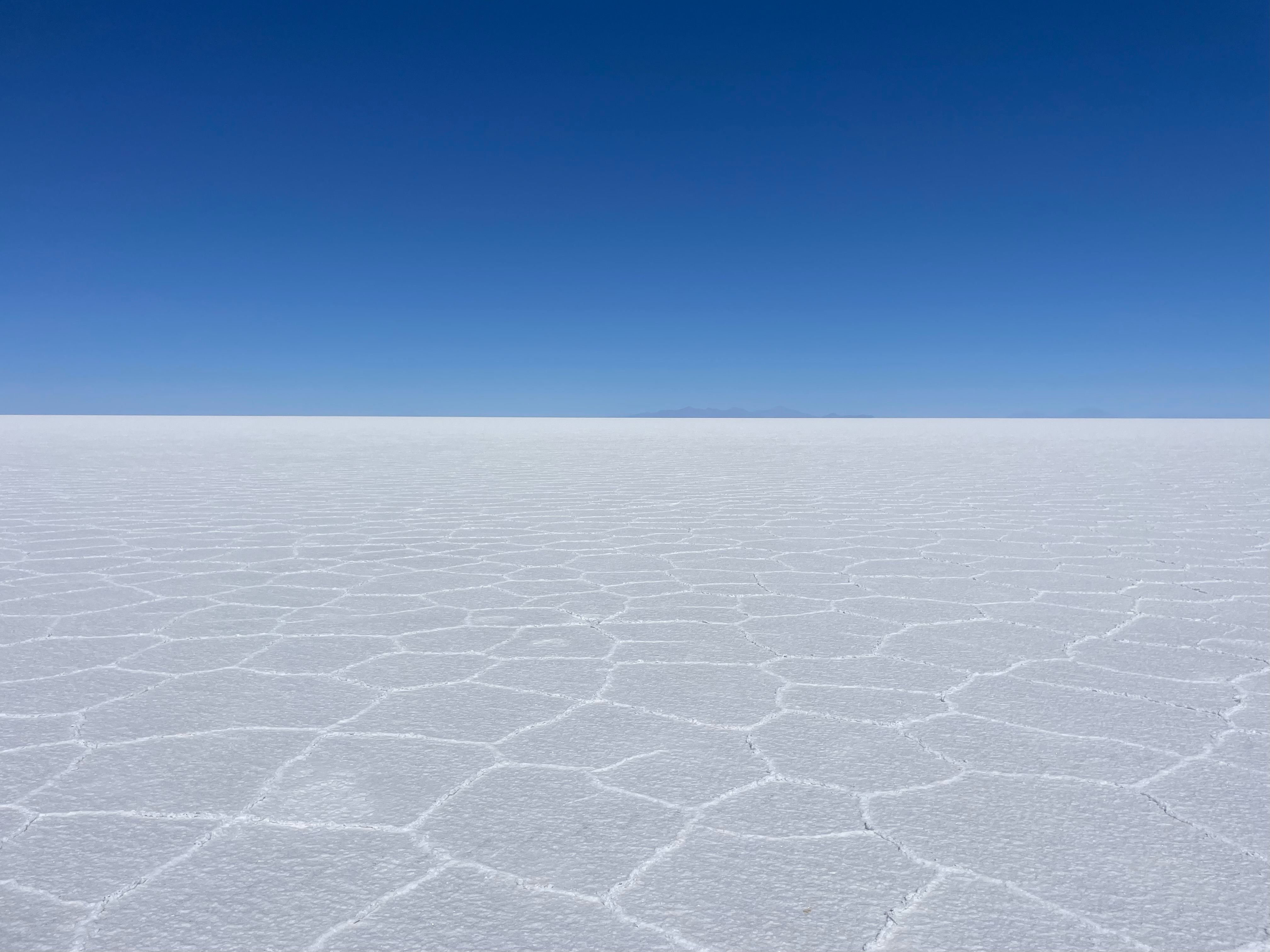 FIA and FIM collaborate for historic World Land Speed Record attempts ...