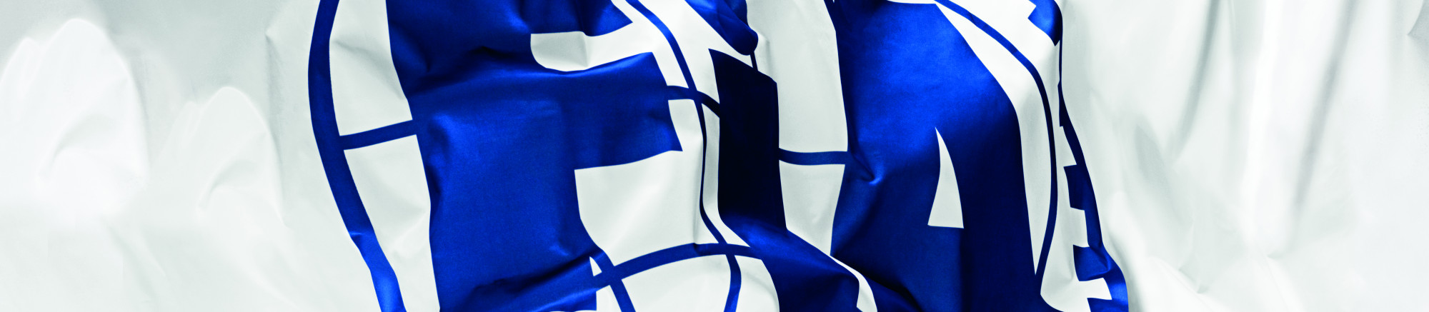 Organisation | Federation Internationale de l'Automobile