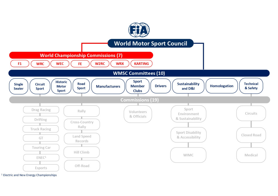 Sporting Commissions and Committees | Federation Internationale de l ...