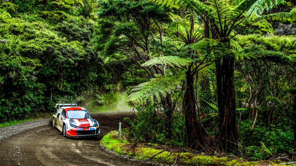 WRC/World RX: WRC Promoter and Rallycross Promoter achieve FIA Three ...