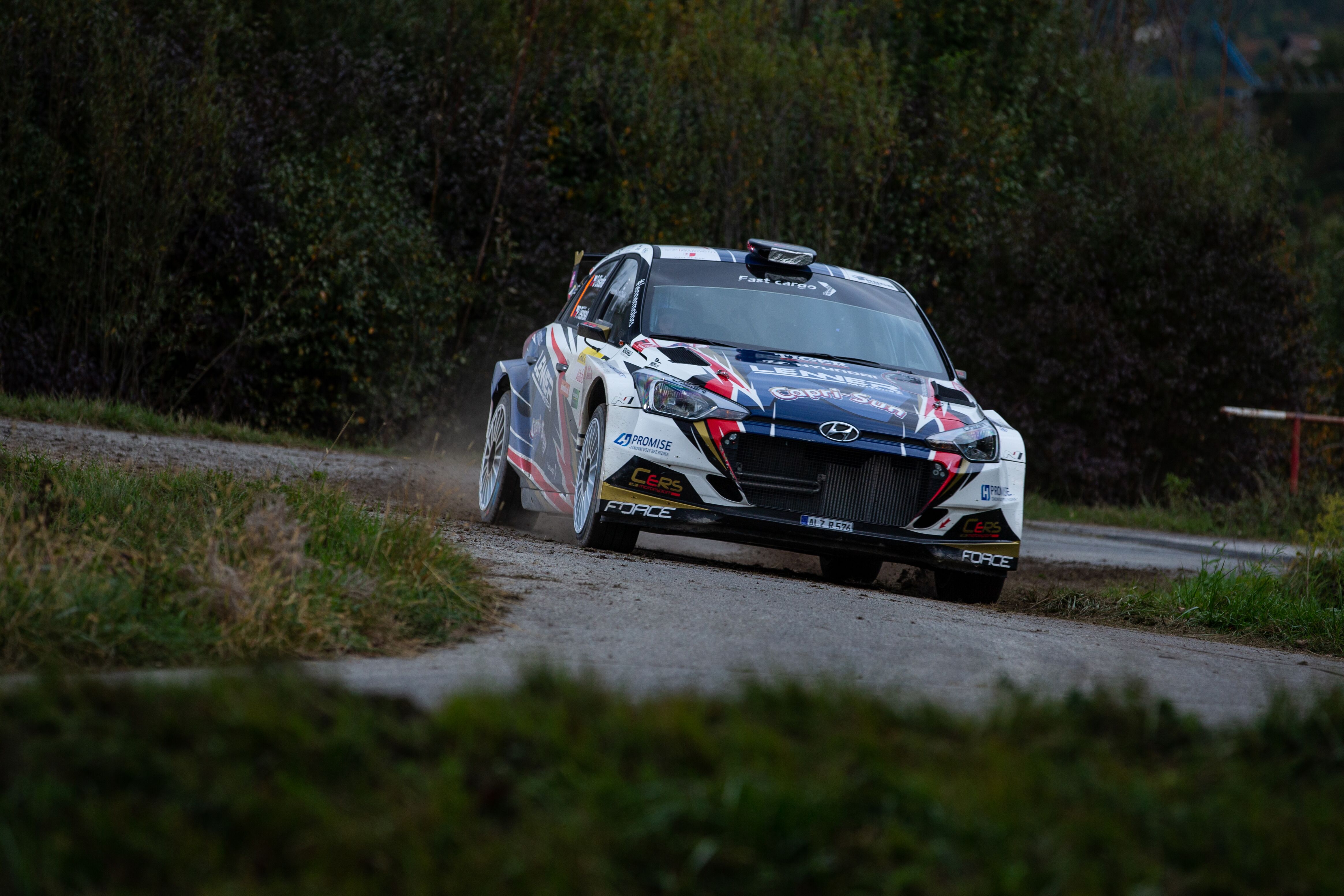 2019 ERT Final - Rallye International du Valais, Switzerland ...